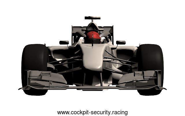 F1 cockpit protection shield