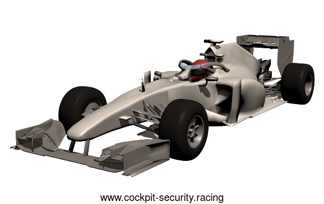 F1 cockpit protection shield