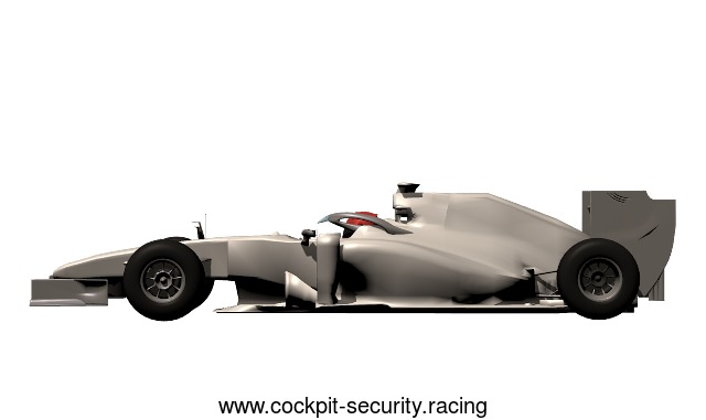 F1 cockpit protection shield