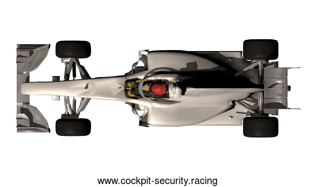 F1 cockpit protection shield